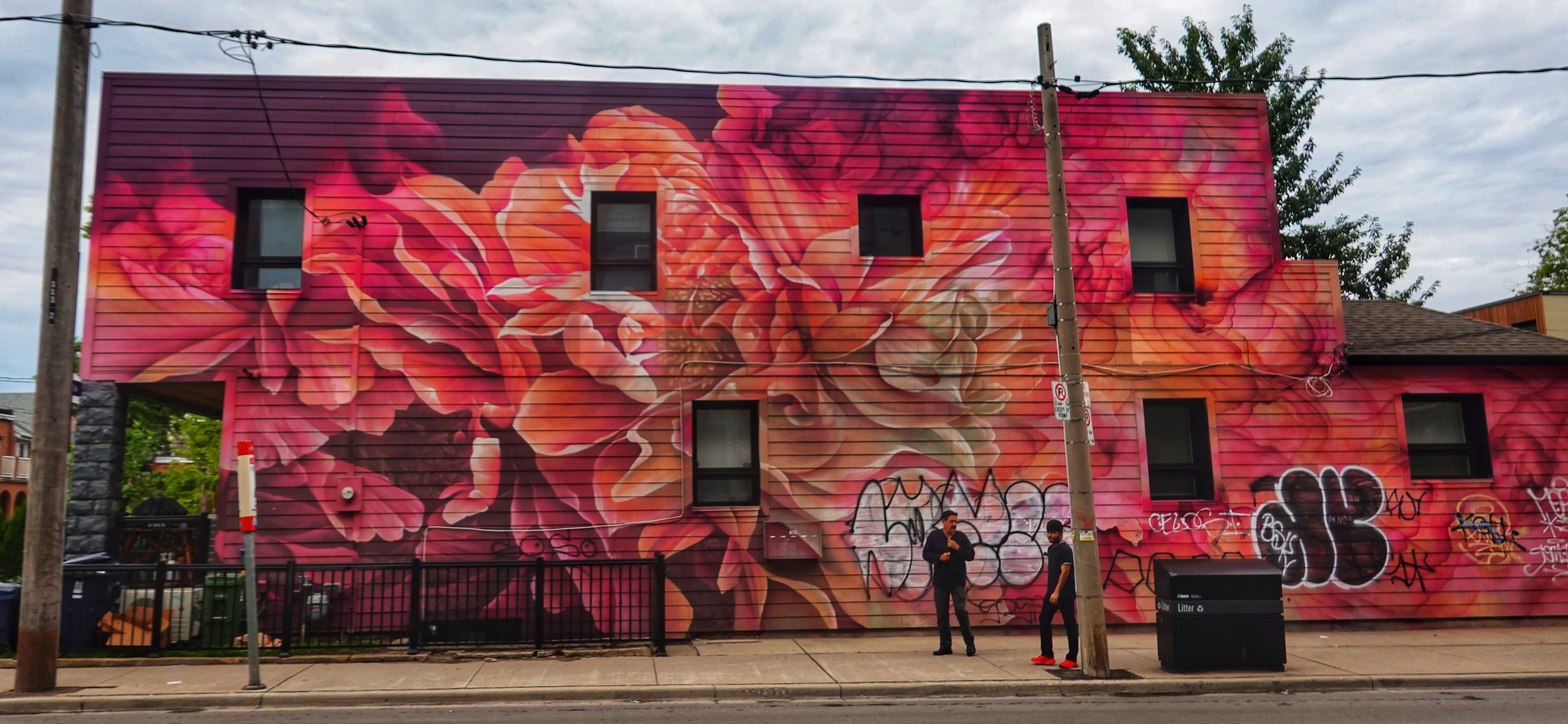 TORONTO, CANADA 🇨🇦 STREET ART: FLOWER HOUSE – TOKIDOKI (NOMAD)